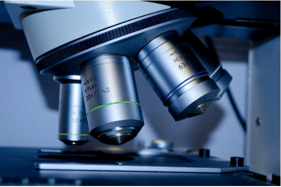 Zooming In: How This 3D Microscope Magnifies Workflow Efficiency – AmScope