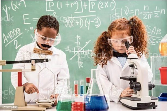 Awesome Things To Observe Under a Microscope – AmScope