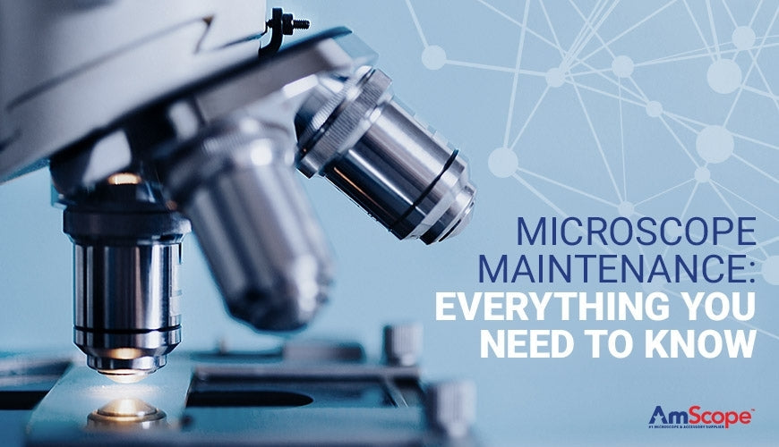 Microscope Maintenance: Everything You Need to Know – AmScope