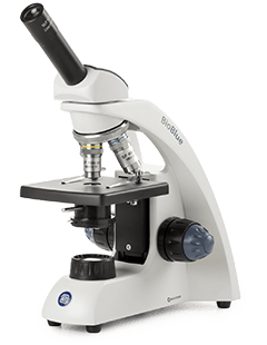 Euromex Microscopes | AmScope