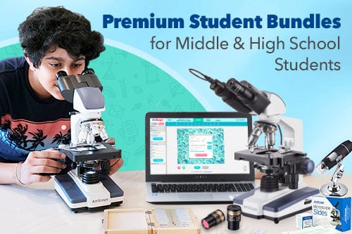 3 Helpful Tips for Teaching Kids How to Use a Microscope – AmScope