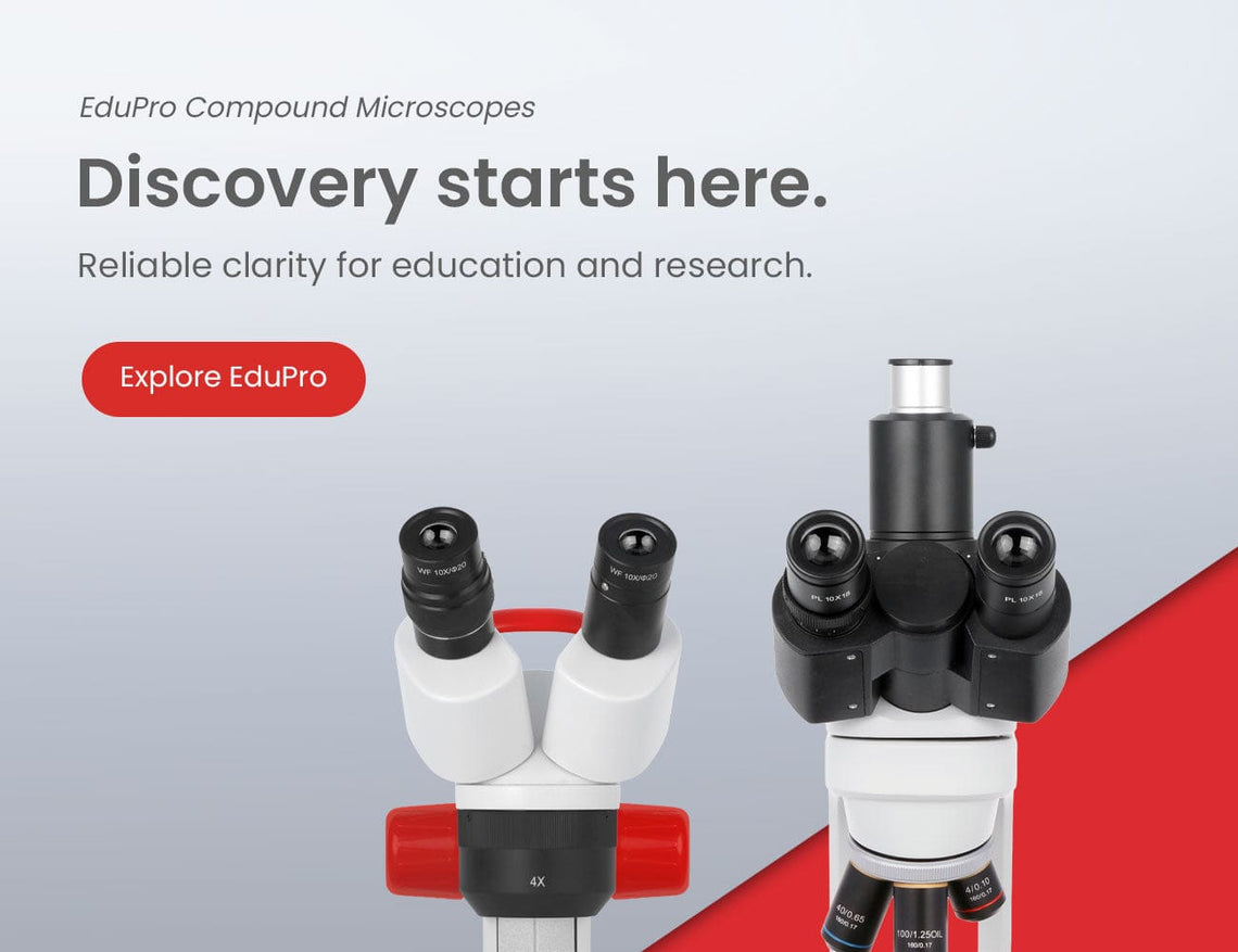 Microscopes & Microscope Parts Store | AmScope