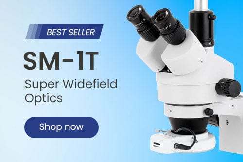 7 Types of Light Microscopes and How To Use Them – AmScope