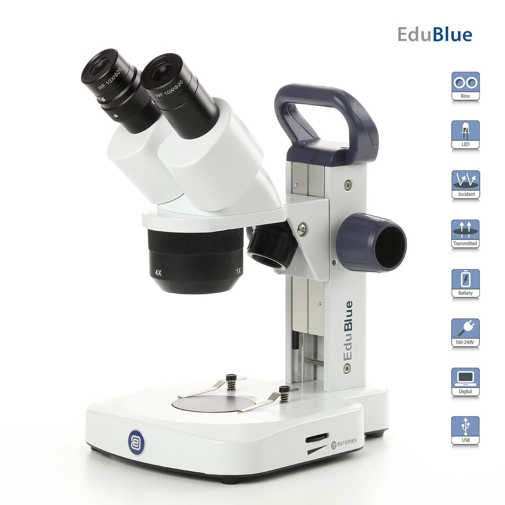 Euromex EduBlue Series Digital Binocular Stereo Microscope 10X-40X Mag – AmScope