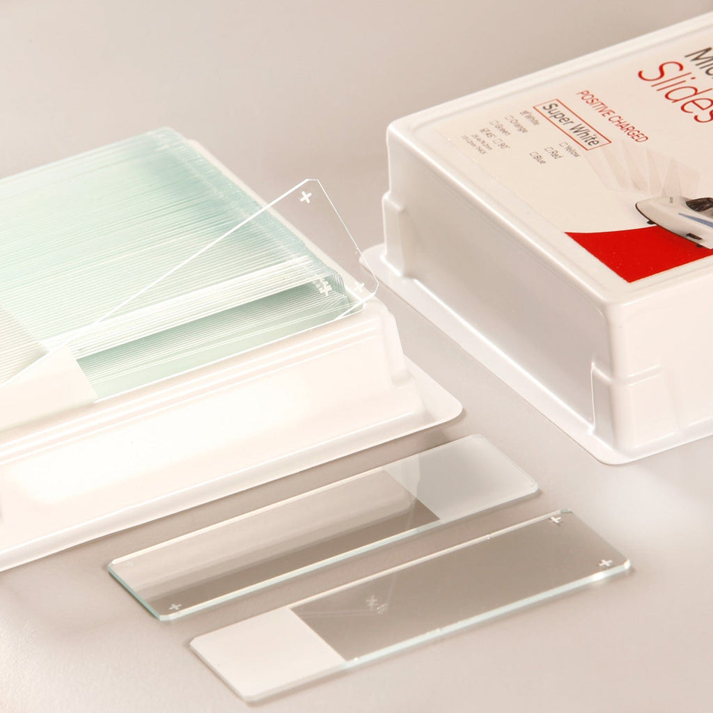AmScope 72pc Blank Positive Charge Slides