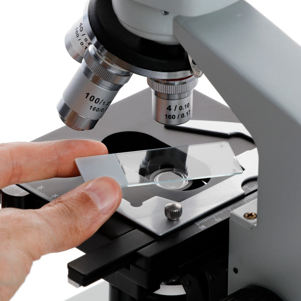 AmScope 72pc Blank Slides with Polysine Coating