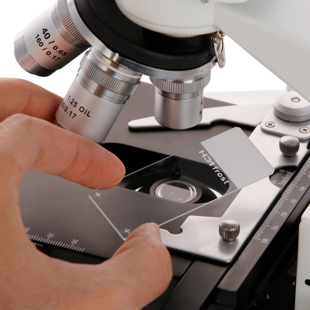 AmScope 50pc Blank Positive Charge Slides