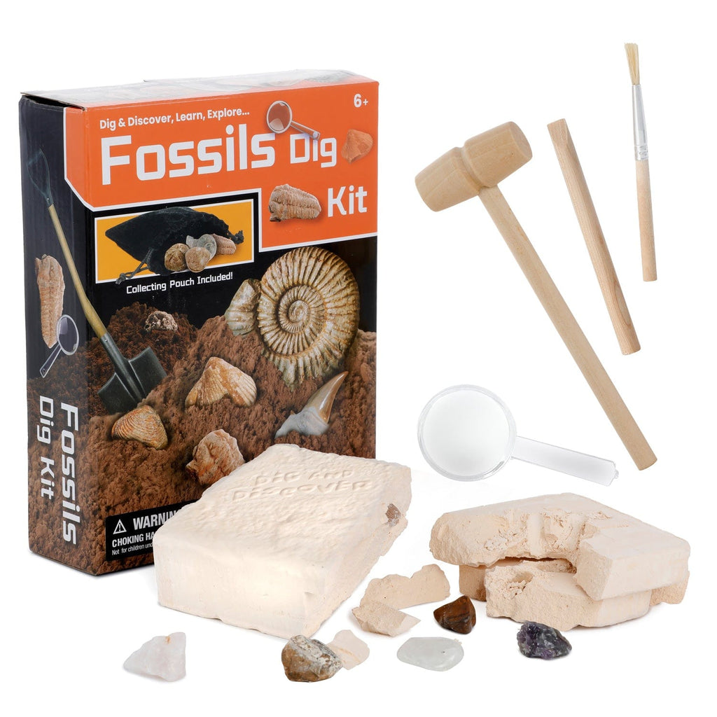 AmScope Kid's Fossil Adventurer Series featuring 60X-120X Portable LED