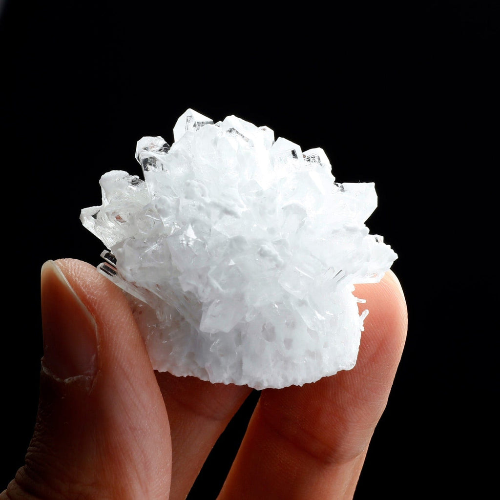 Amscope KT-CRS Microscope for Kids Science Education, Lab Instrument ...