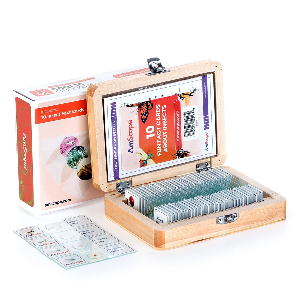 AmScope 30pc Glass Prepared Insect Slide Collection in Wooden Case