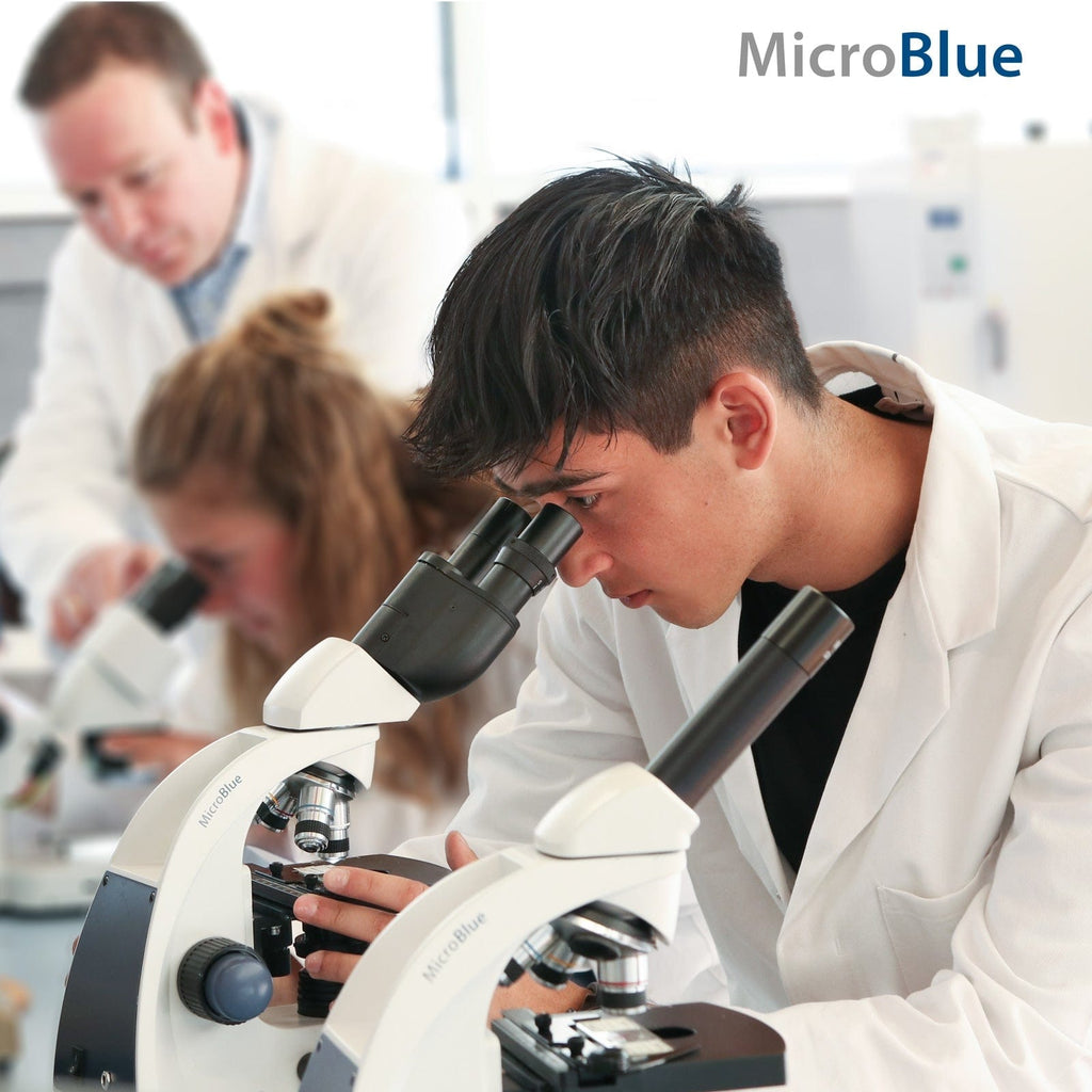 Euromex MicroBlue Series High-Quality Entry-Level Portable Binocular C – AmScope