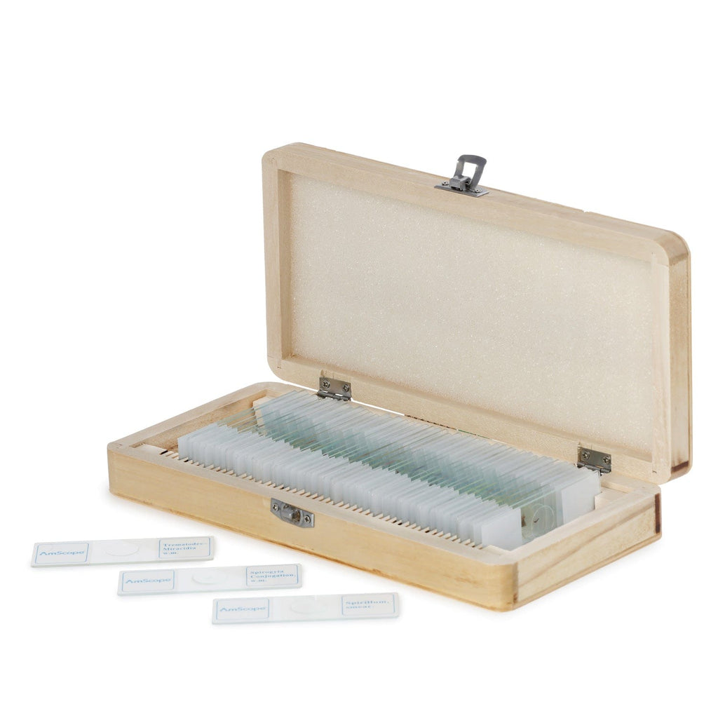 AmScope 50pc Prepared Glass Microscope Zoology Slide Specimens with Wo