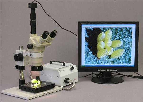 AmScope 150W Fiber-Optic Microscope Illuminator with Ring light