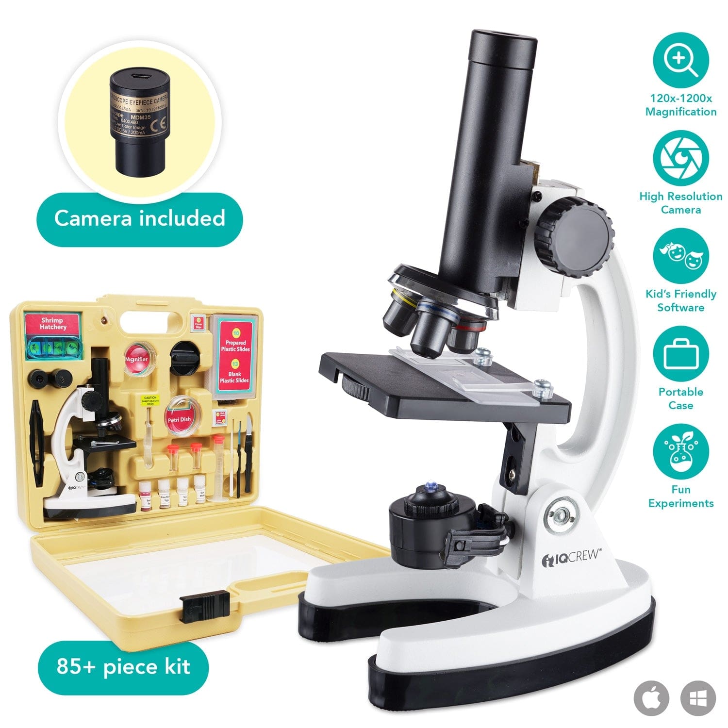 Microscope Parts & Functions - AmScope