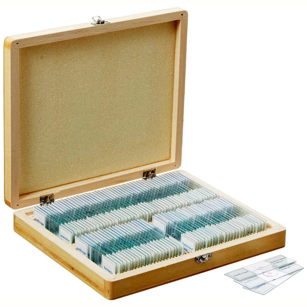 AmScope 100pc Prepared Glass Microscope Slides in Wood Case with Anato