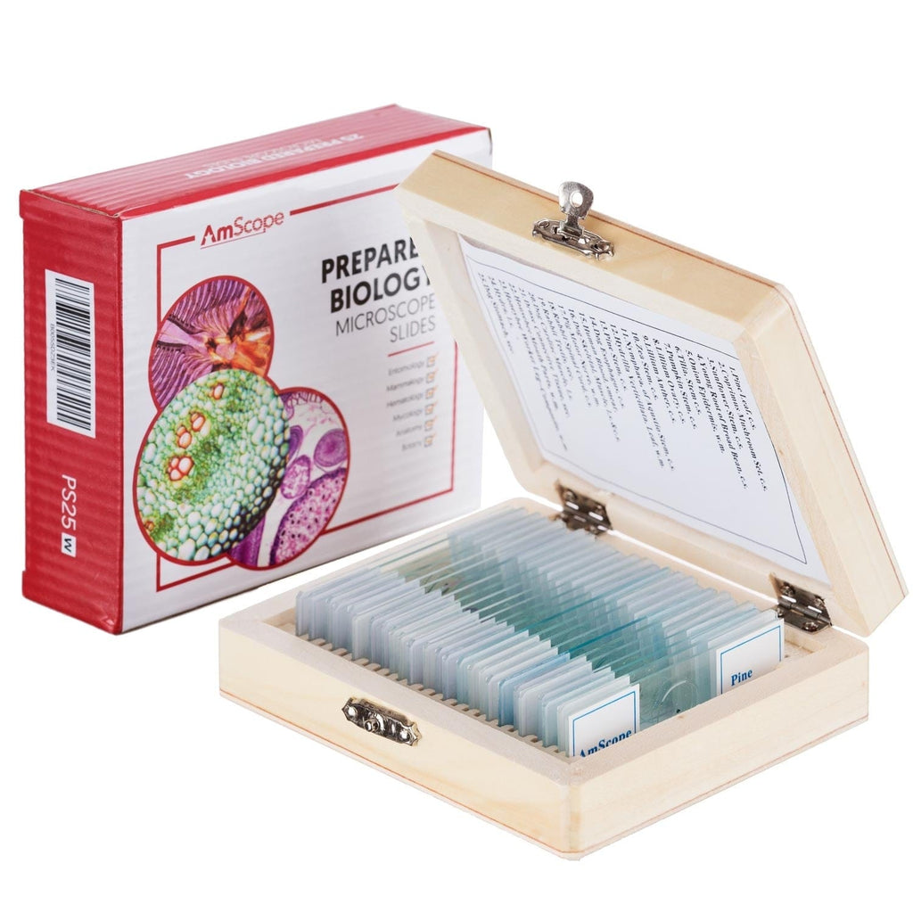 AmScope 25pc Glass Prepared Microscope Slides in Wood Case with Plant,